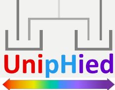 UnipHied – IPQ